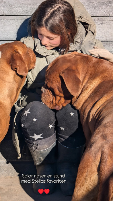 Sportlov :: Chien Courage